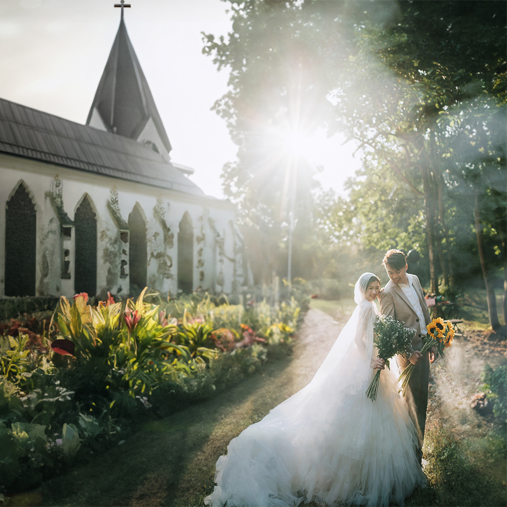 Hitcheed - Wedding Wonderland RSVP