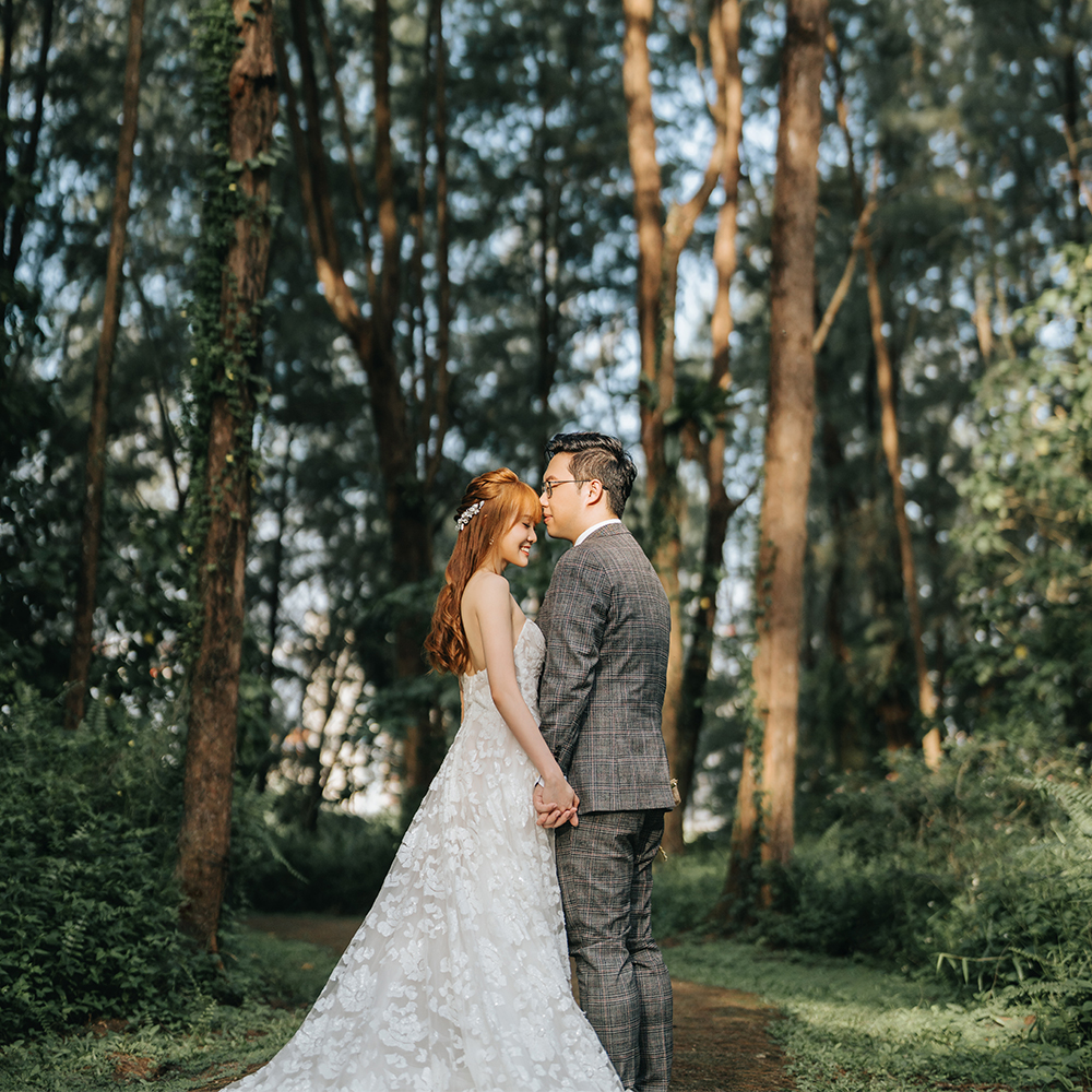 Hitcheed - Wedding Wonderland RSVP