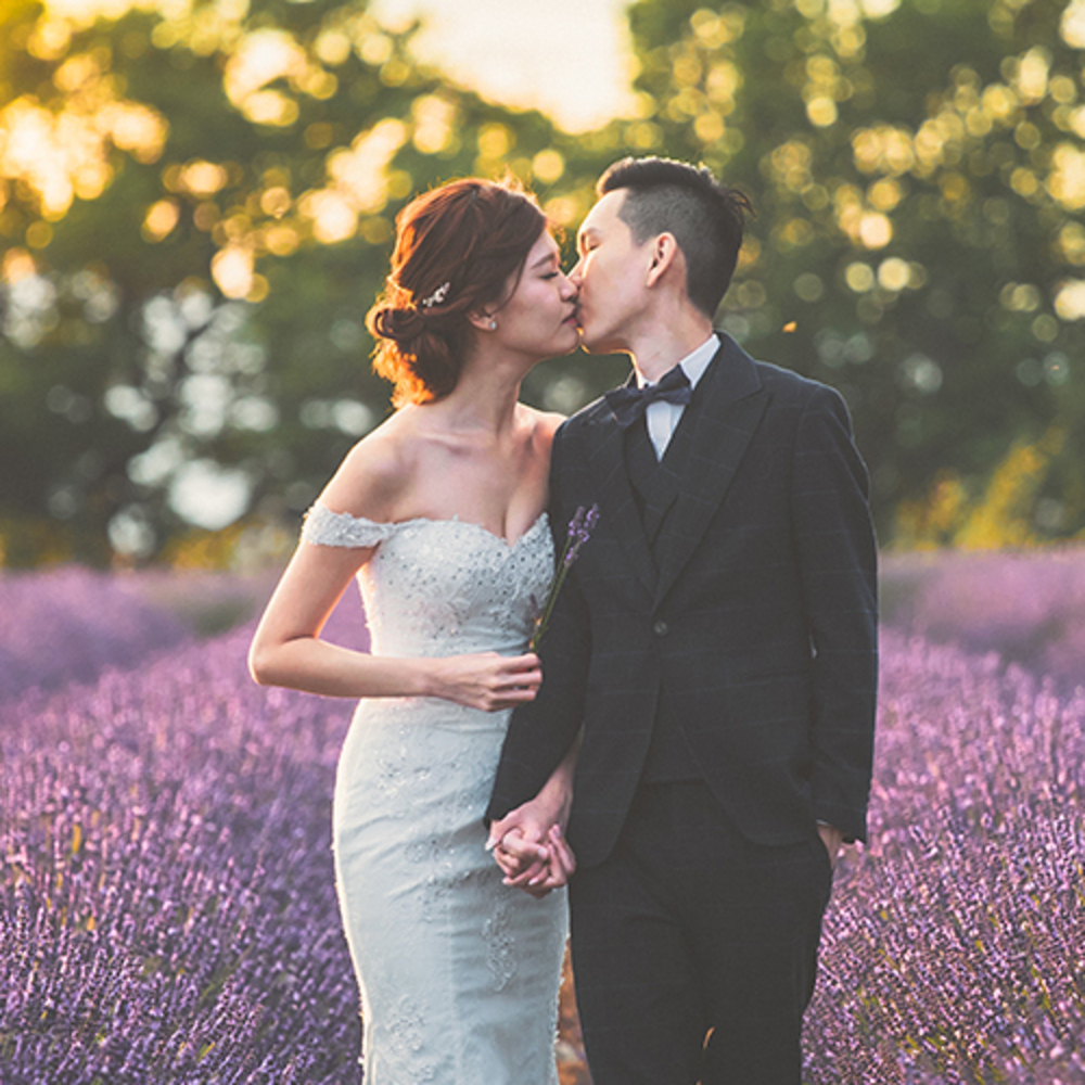 Hitcheed - Wedding Wonderland RSVP