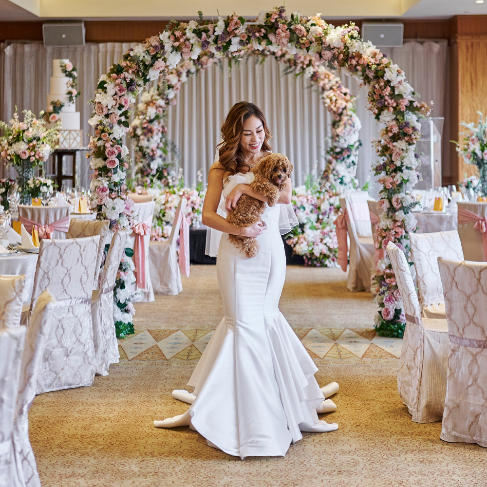 Hitcheed - Wedding Wonderland RSVP