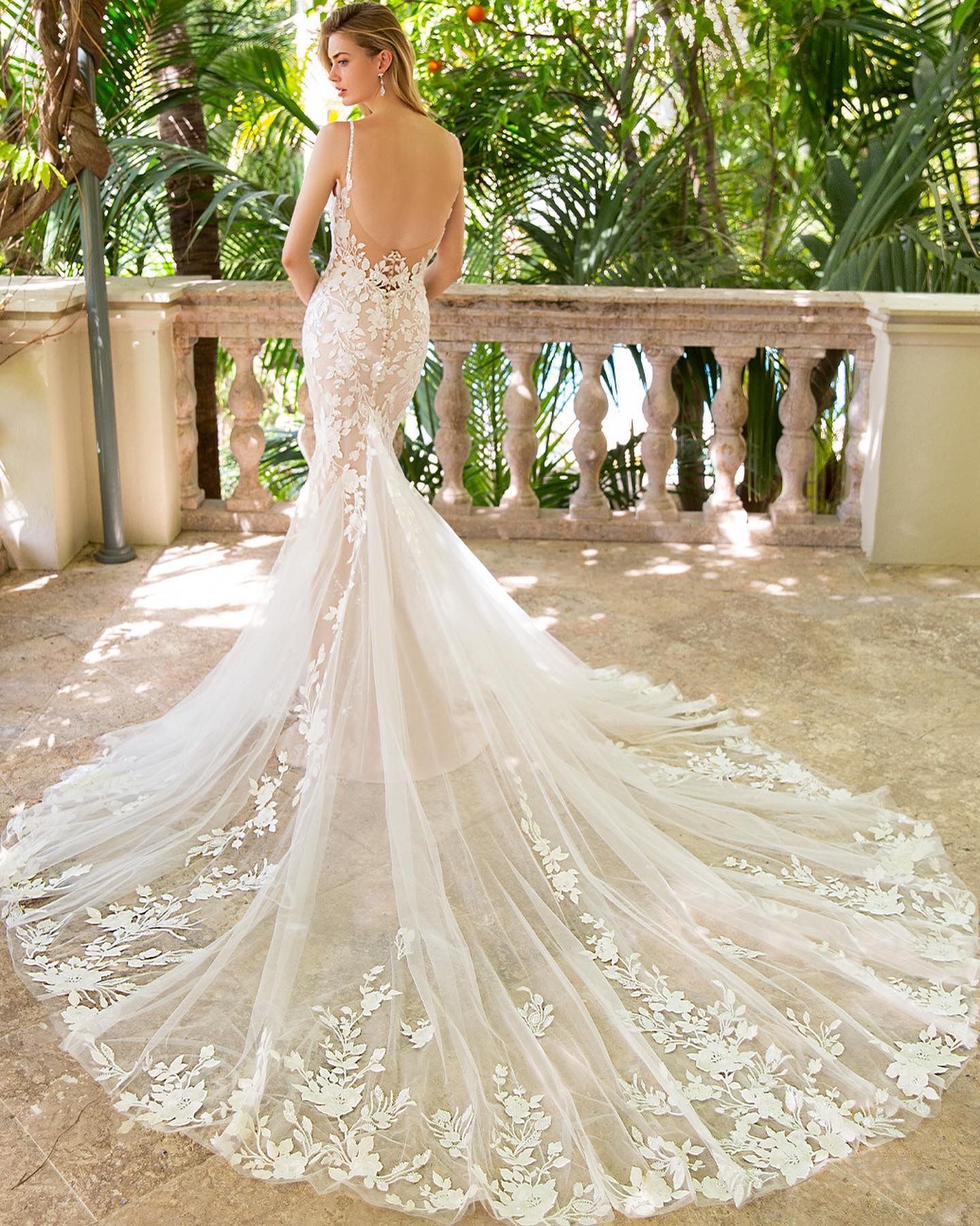 Hitcheed - Wedding Wonderland RSVP